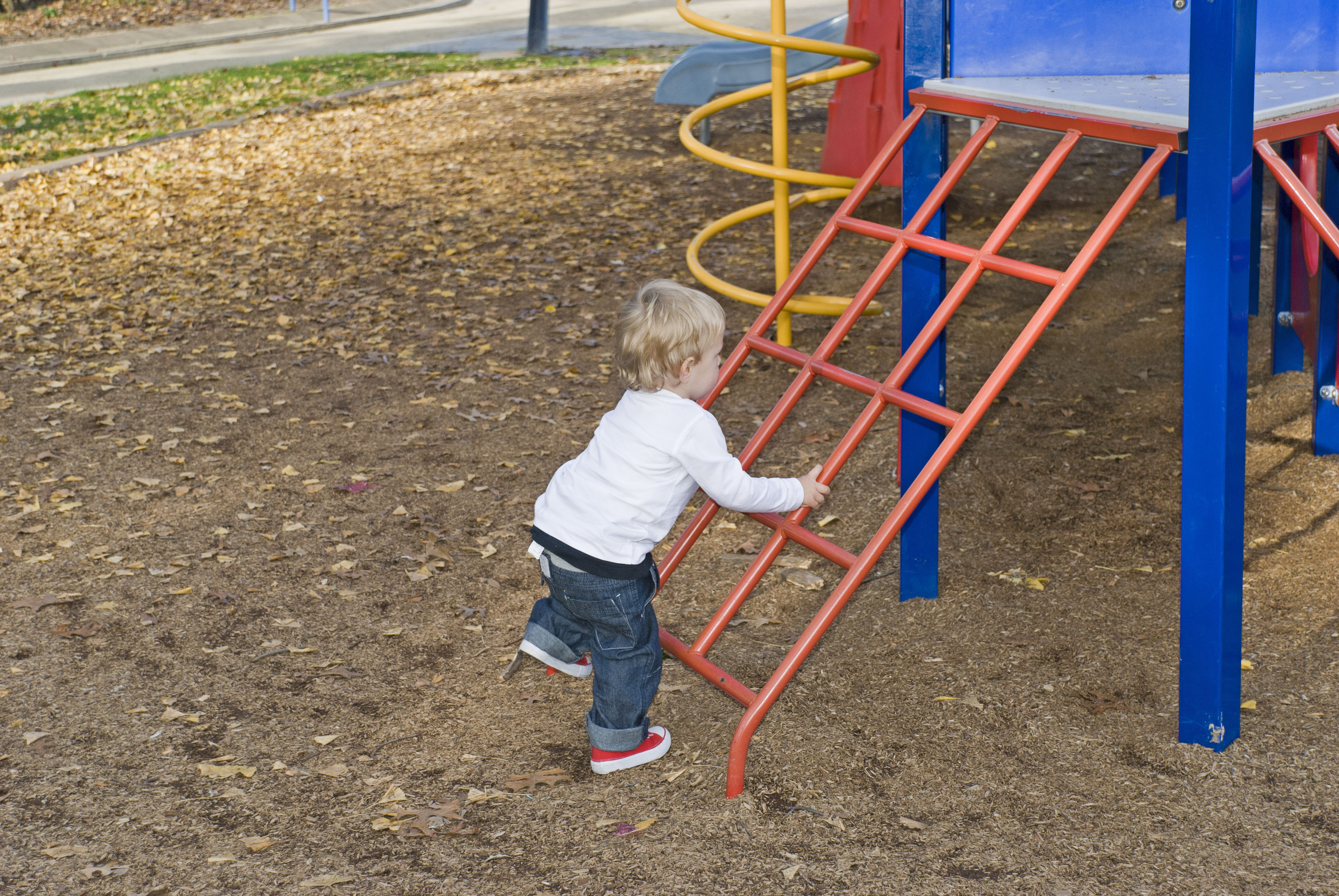 So You Want to Climb the Ladder? Help for the Aspiring Leader - CCCC Blogs